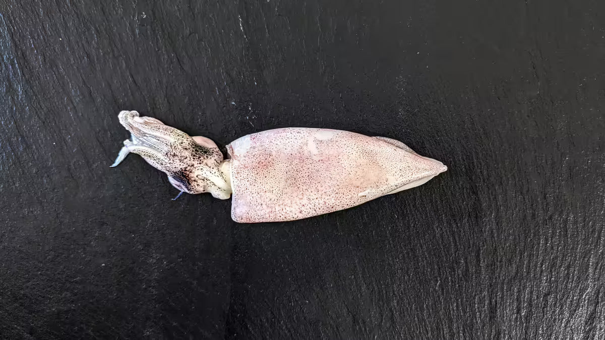 How to clean squid? – Jamon.co.uk